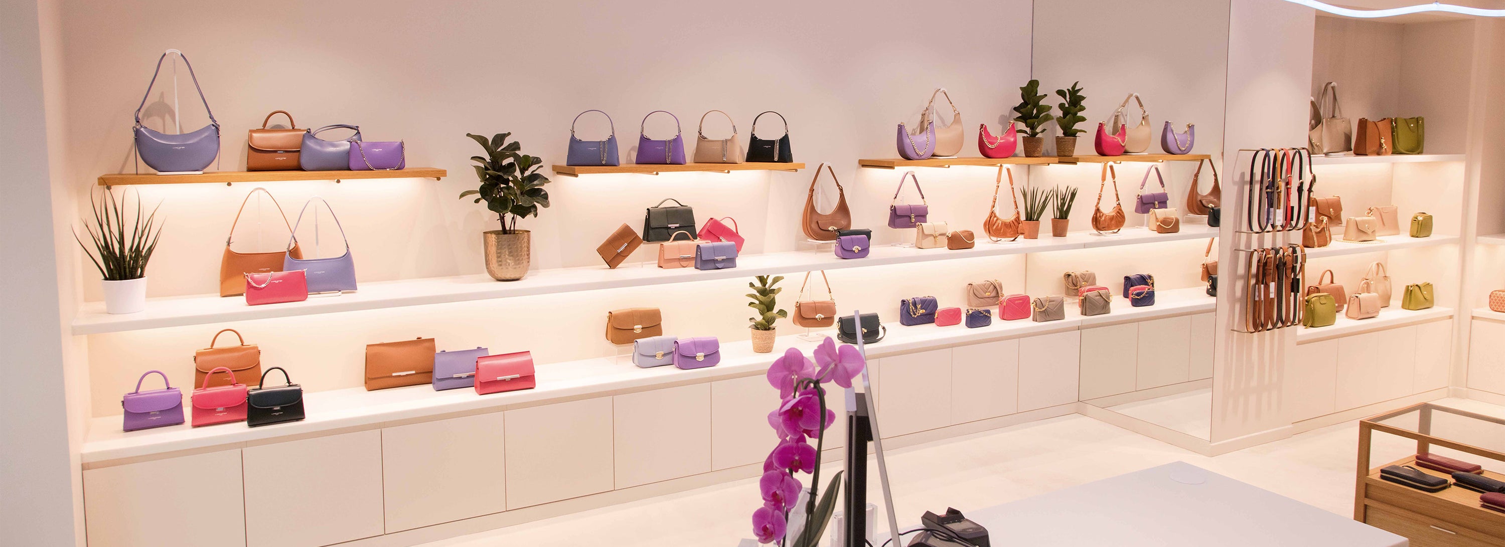 Distribution – Lancaster